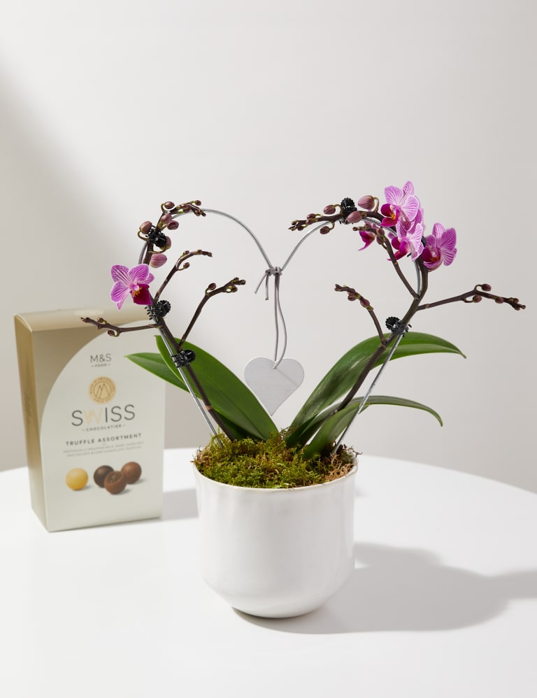 Amethyst Heart Orchid & Swiss Truffles Bundle | M&S