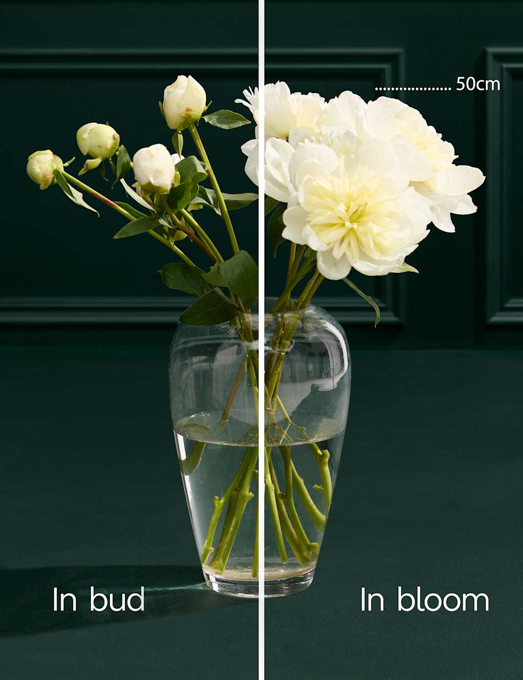 An Abundance of Seasonal Peonies with Prosecco | M&S