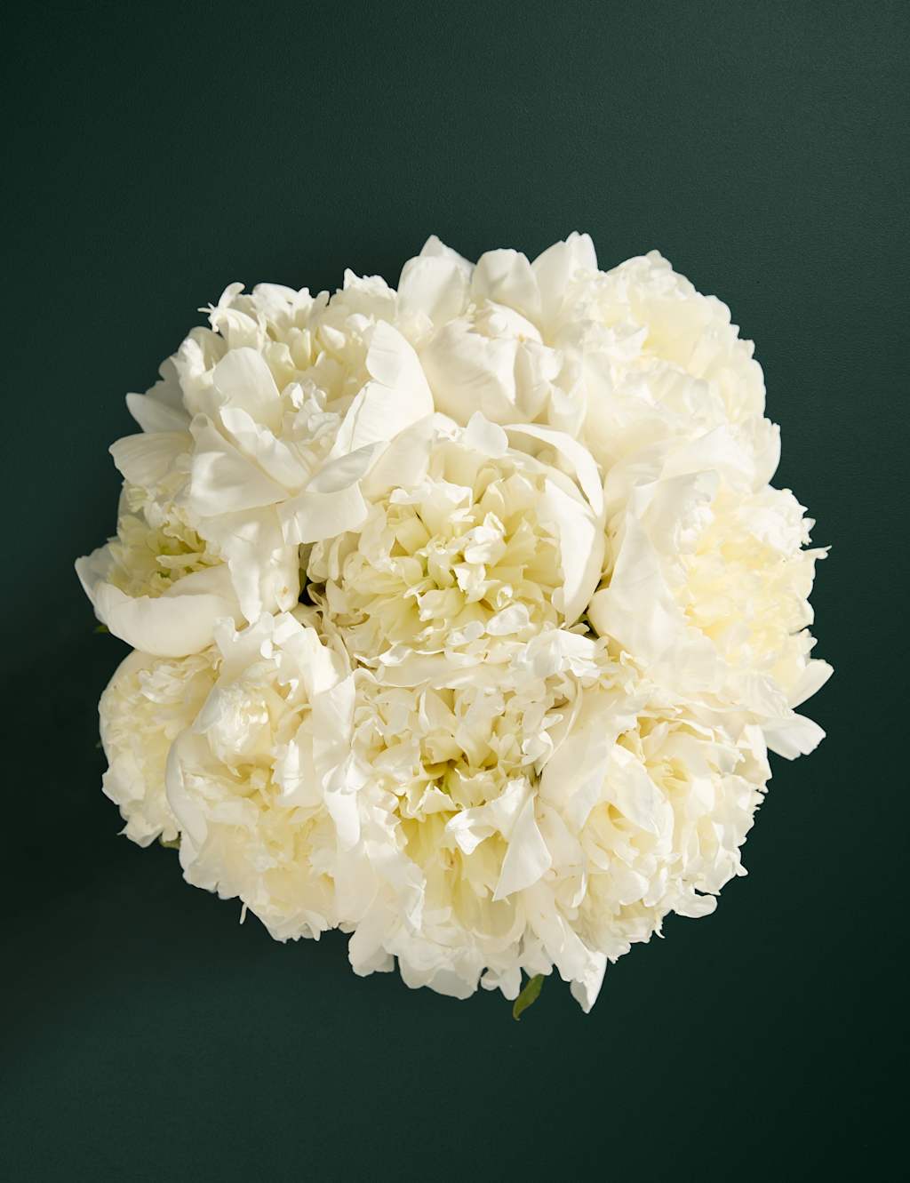 An Abundance of Seasonal Peonies with Prosecco | M&S