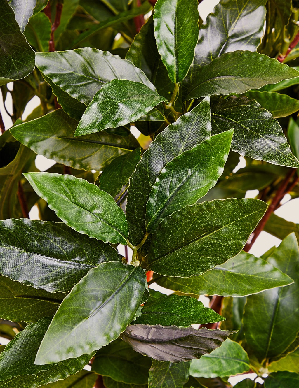 Artificial Floor Standing Bay Tree | M&S