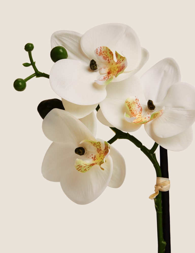 Artificial Real Touch Small Orchid in Pot | Moss & Sweetpea | M&S