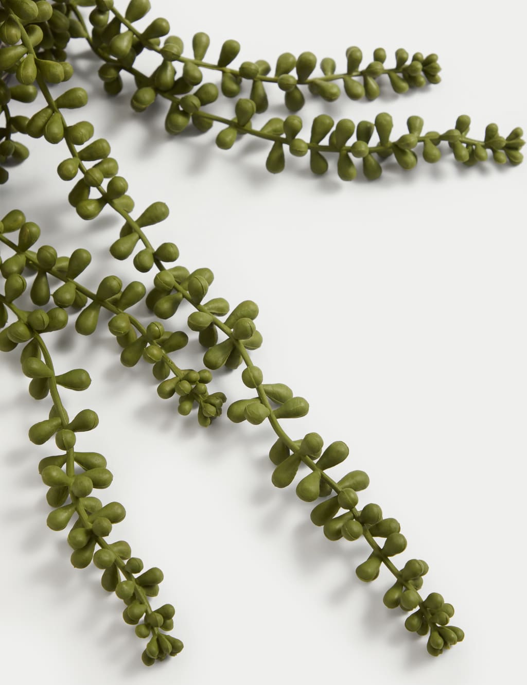 Artificial String of Pearls in Ceramic Pot | Moss & Sweetpea | M&S