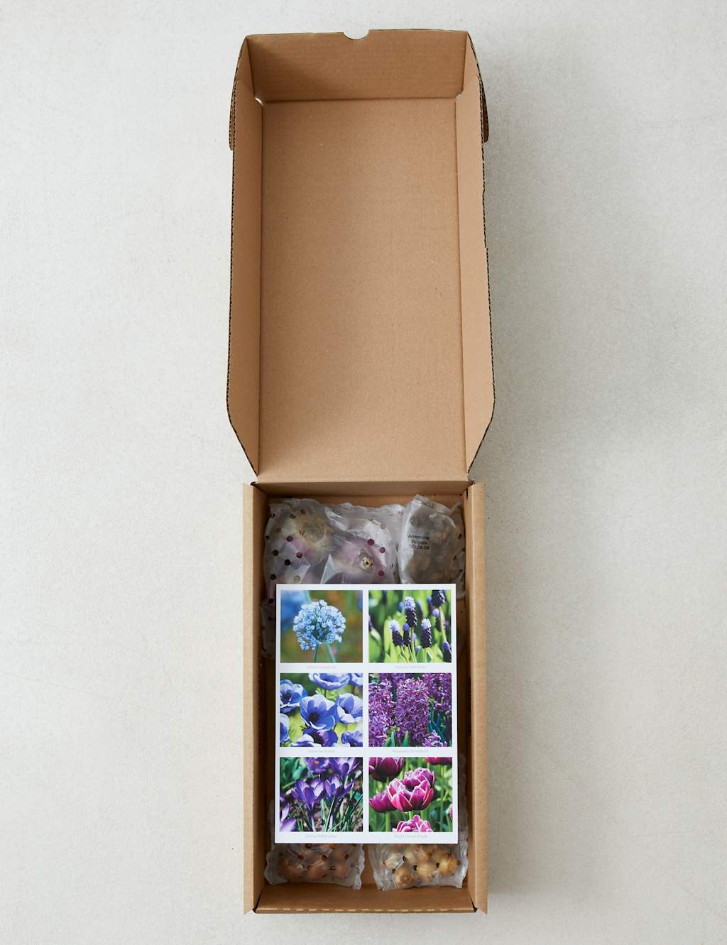 Berry Shades Flower Bulb Collection | M&S