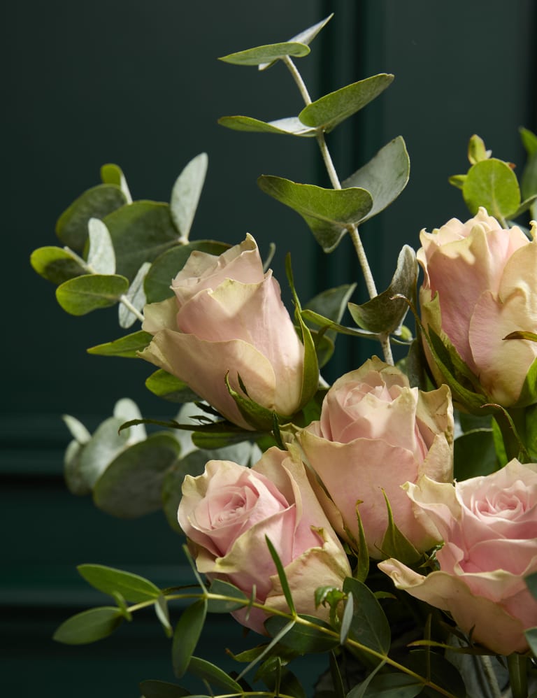 Blush Rose Bouquet | M&S
