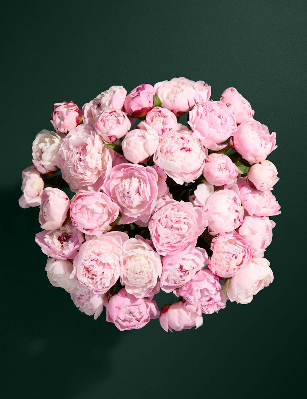 Bountiful Bouquet of Peonies | M&S