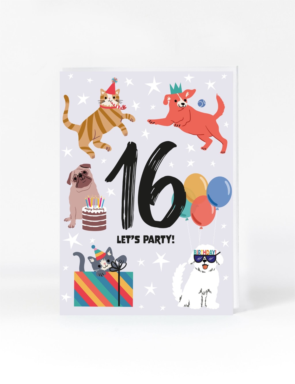 Cats & Dogs 16th Birthday Card | M&S