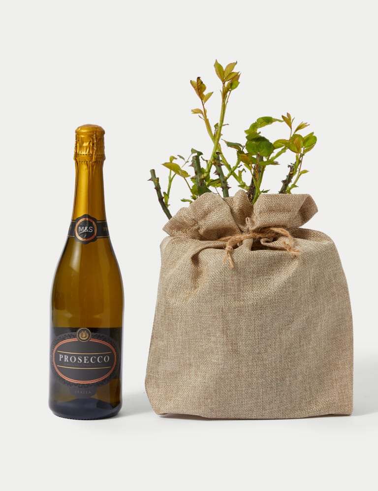 Celebration Rose & Prosecco Bundle | M&S