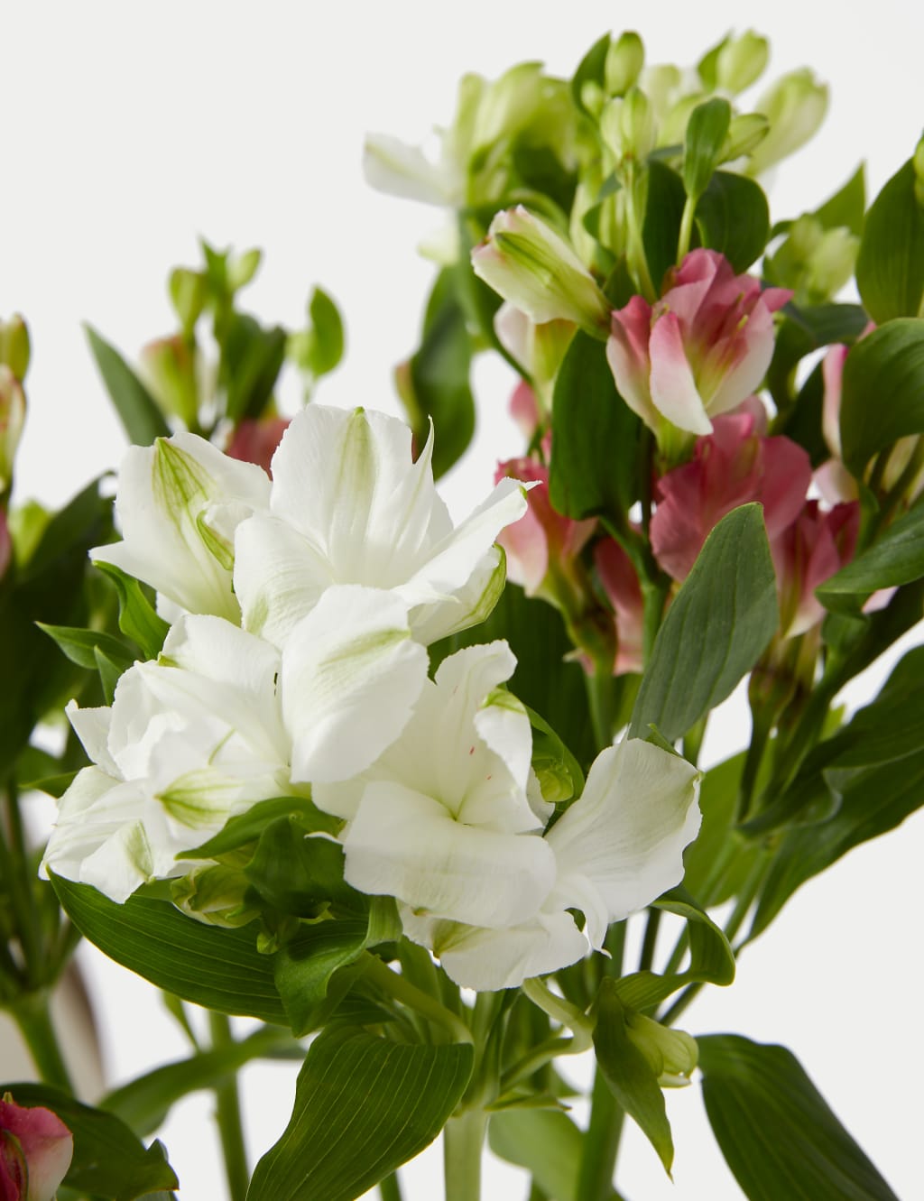Charmelia Alstroemeria Bouquet | M&S