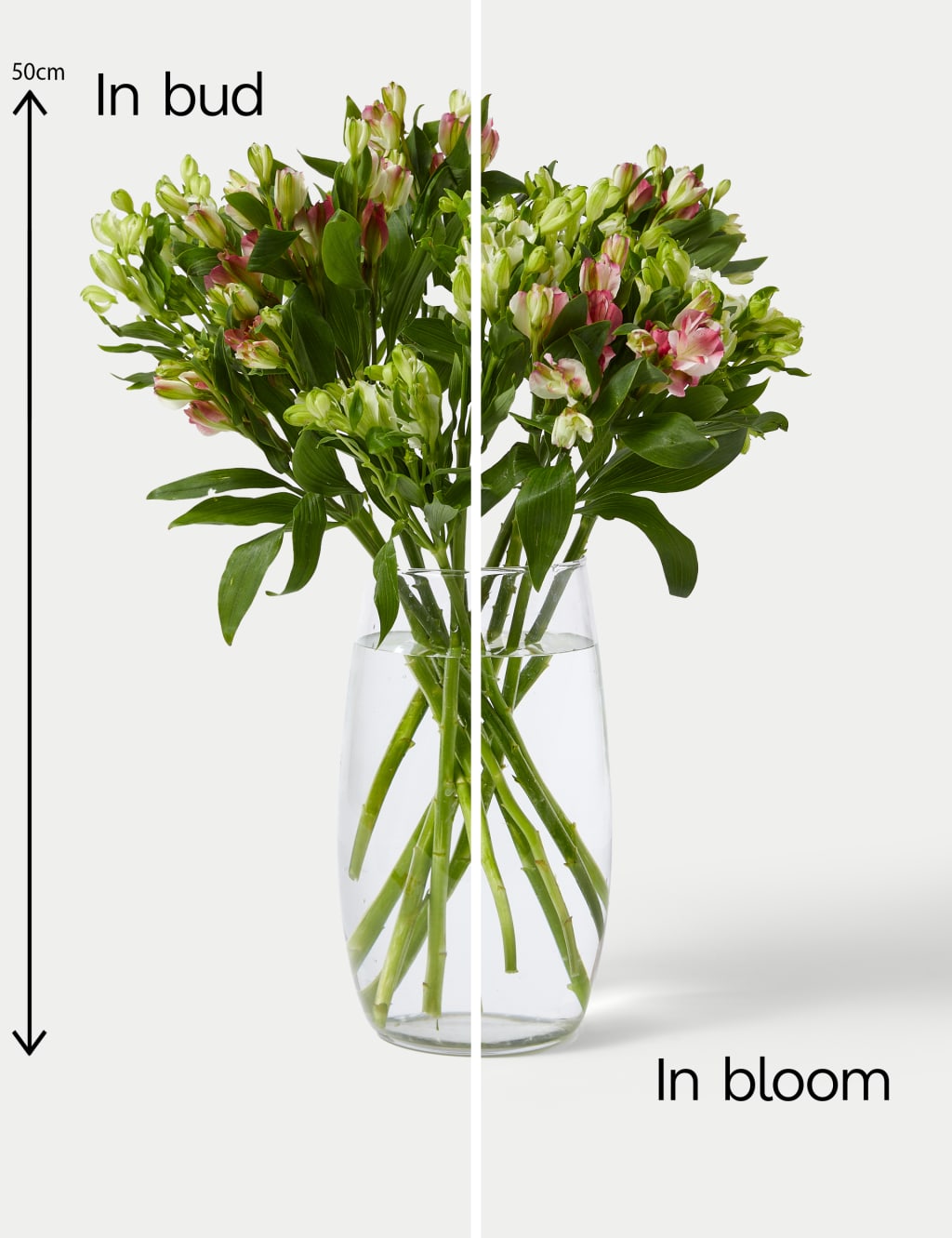 Charmelia Alstroemeria Bouquet | M&S