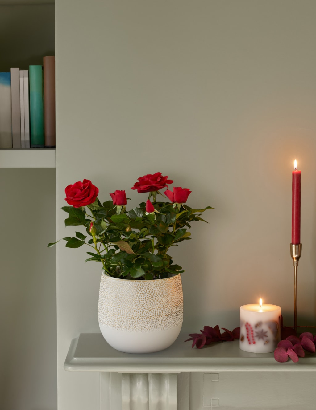 Christmas Red Rose Plant | M&S