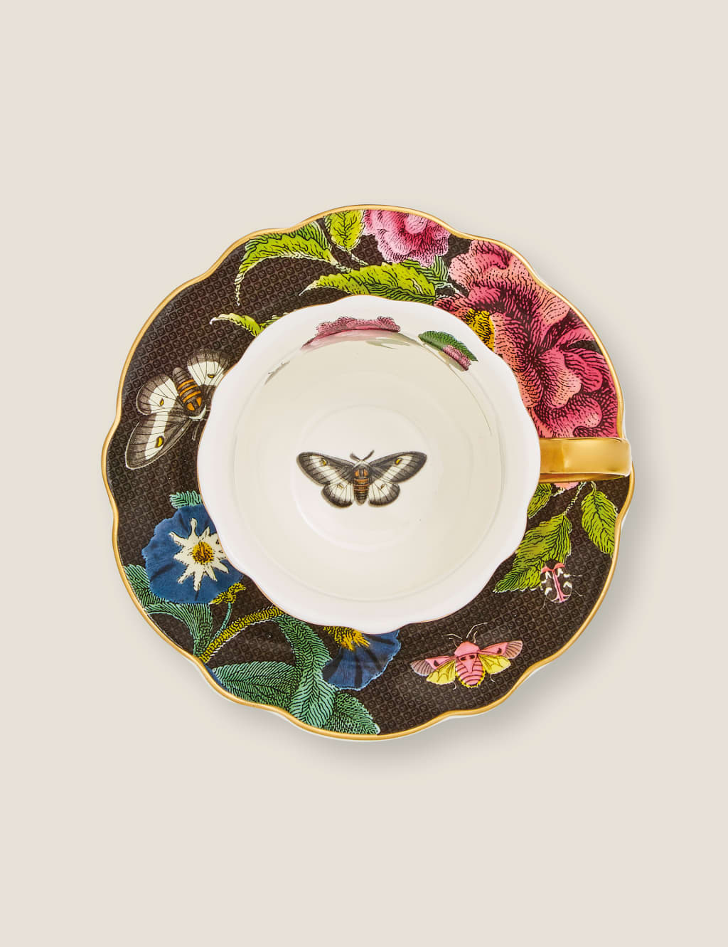 Creatures of Curiosity Dark Cup & Saucer | Spode | M&S