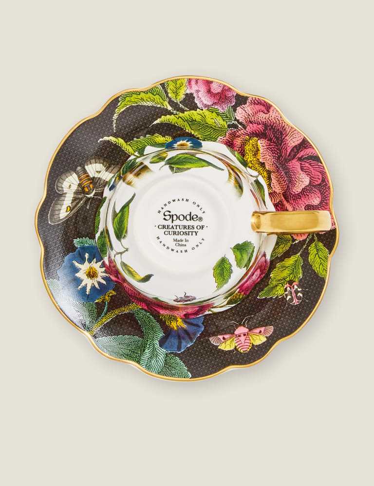 Creatures of Curiosity Dark Cup & Saucer | Spode | M&S