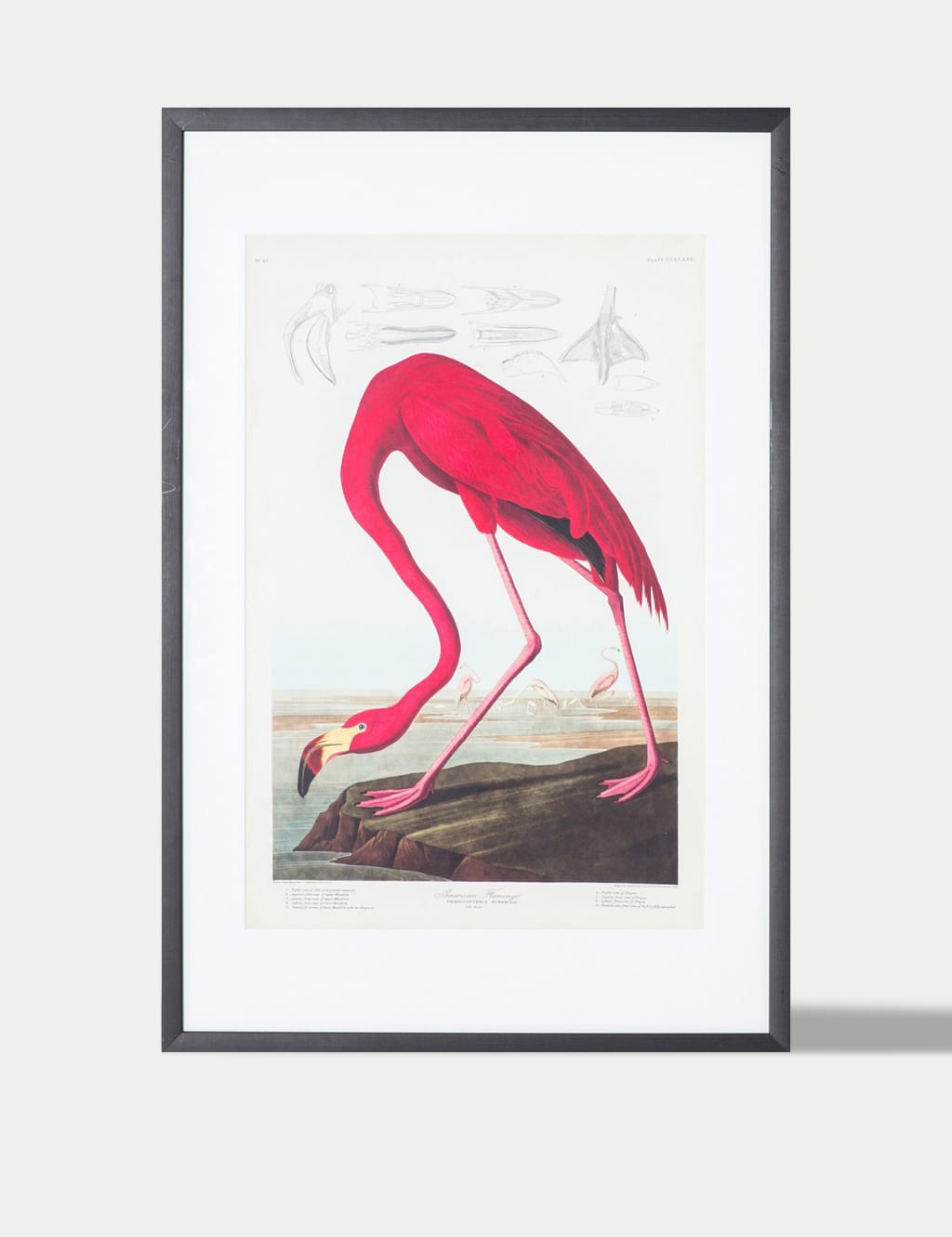 Curious Flamingo Rectangle Framed Art | Gallery Home | M&S