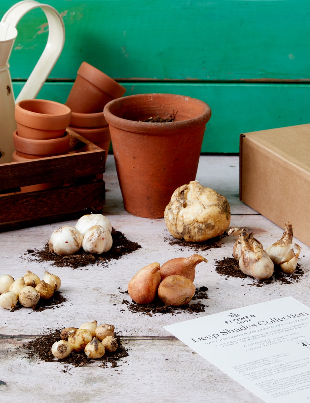 Dark Shades Flower Bulb Collection | M&S