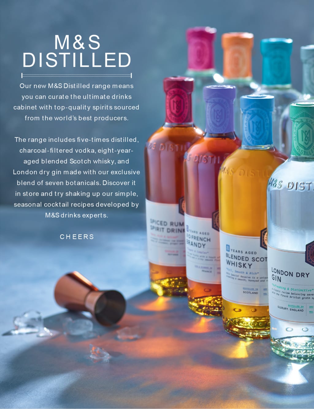 Distilled Flavoured Gin Duo | M&S