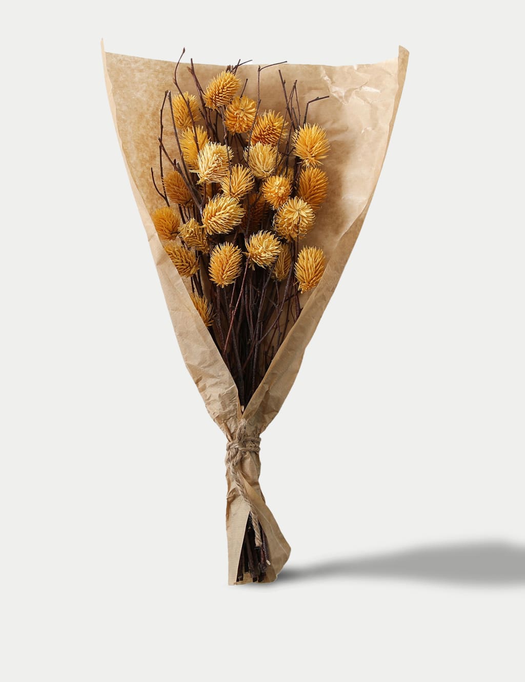Dried Thistle Bouquet | Gallery Home | M&S