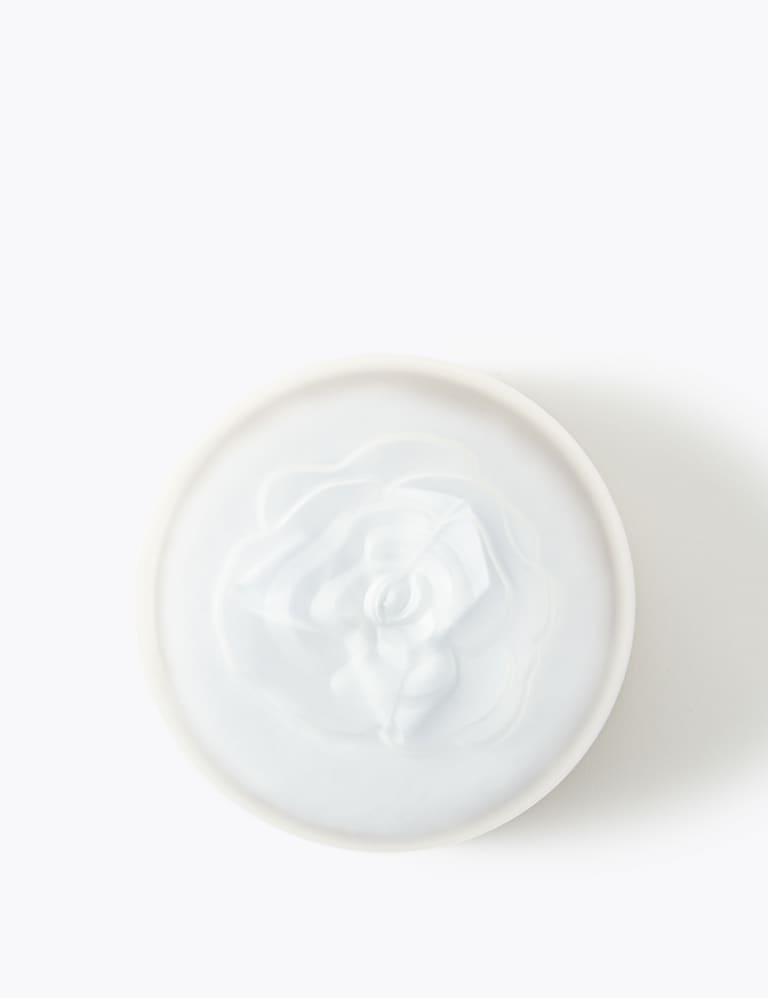 Dusting Powder 75g | Florentyna | M&S