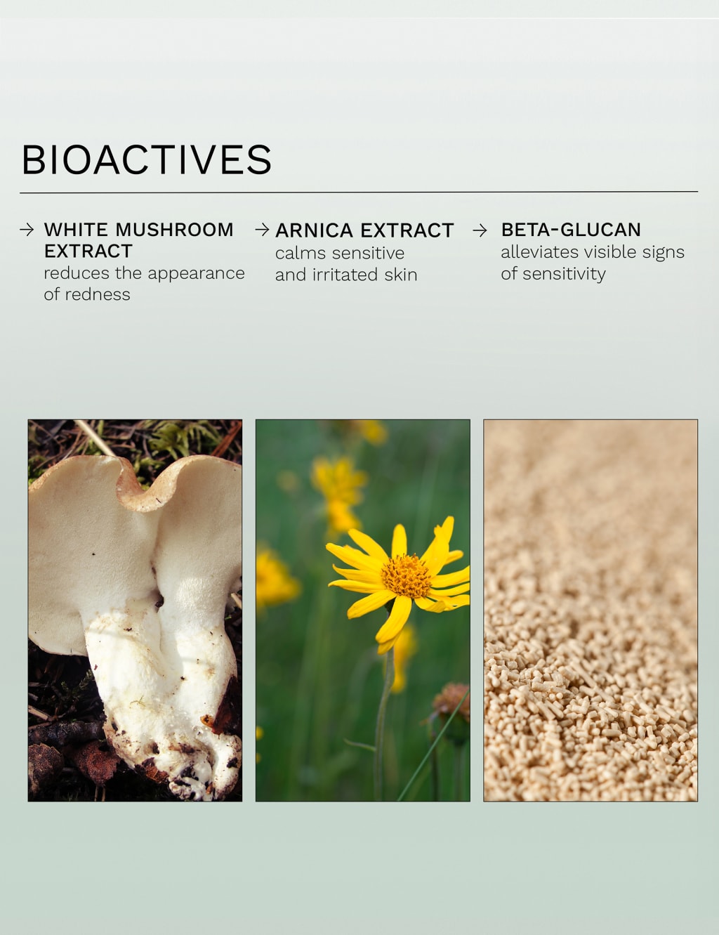 Evercalm™ Ultra Comforting Rescue Mask 50ml | REN | M&S