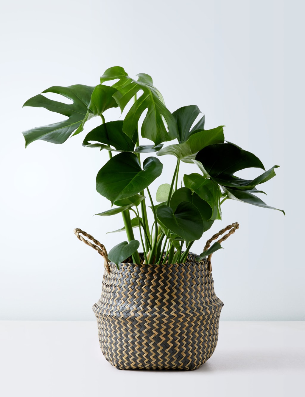 Extra Large Monstera Basket | M&S
