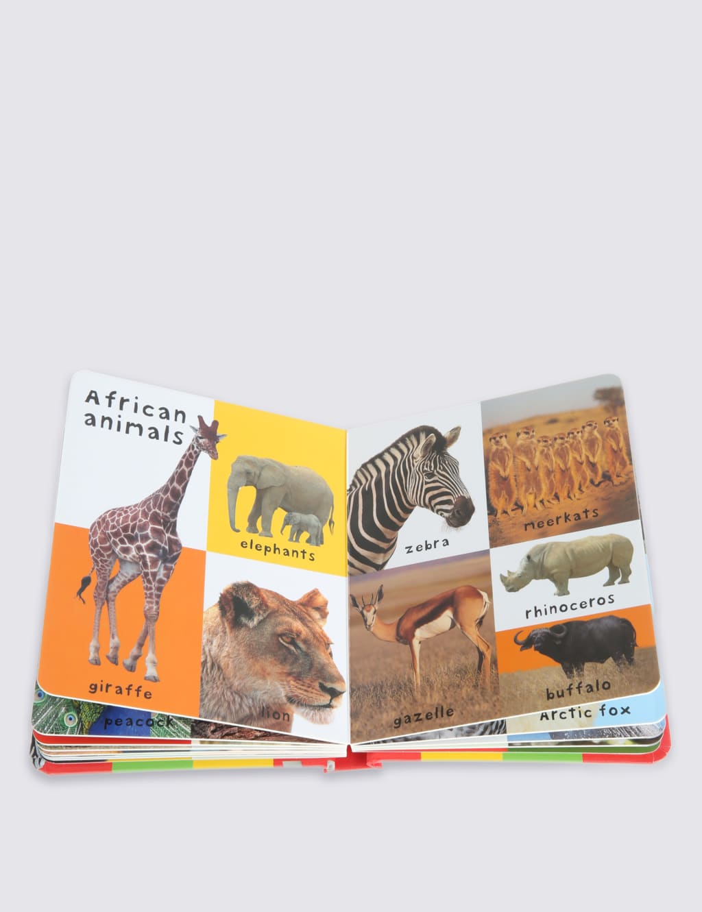 First 100 Animals Book | M&S