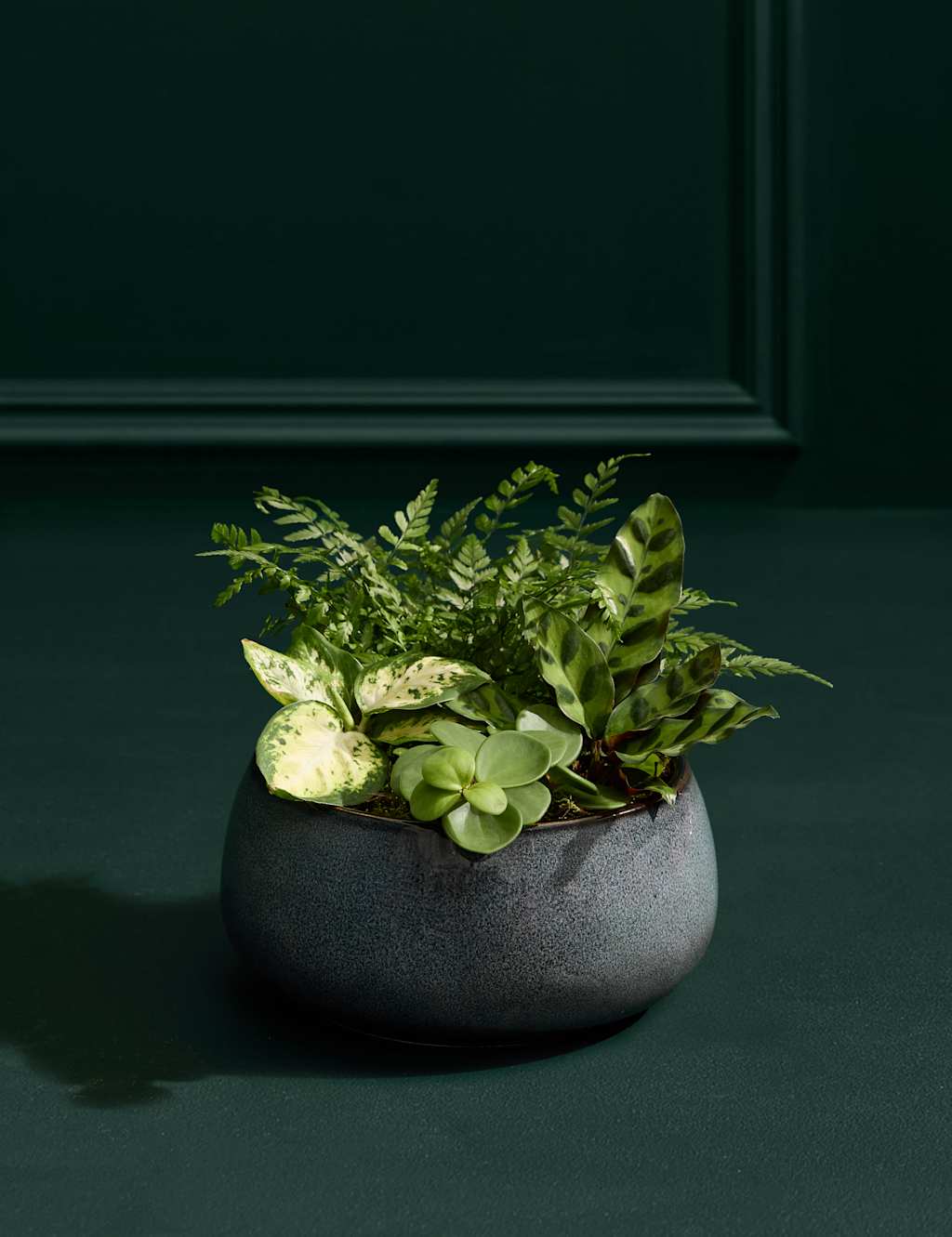 Foliage Planter | M&S