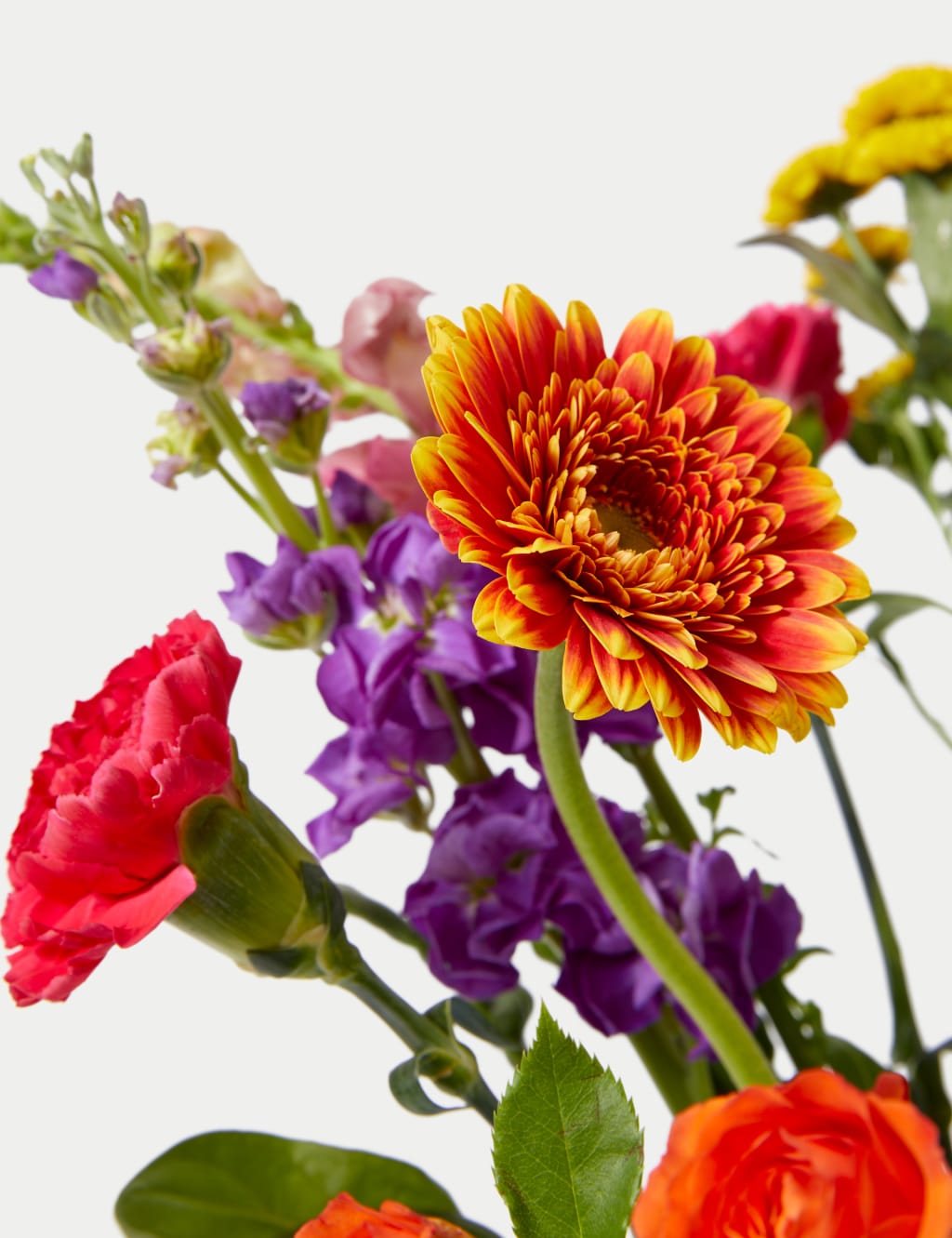 Gerbera, Carnation & Rose Bright Bouquet | M&S