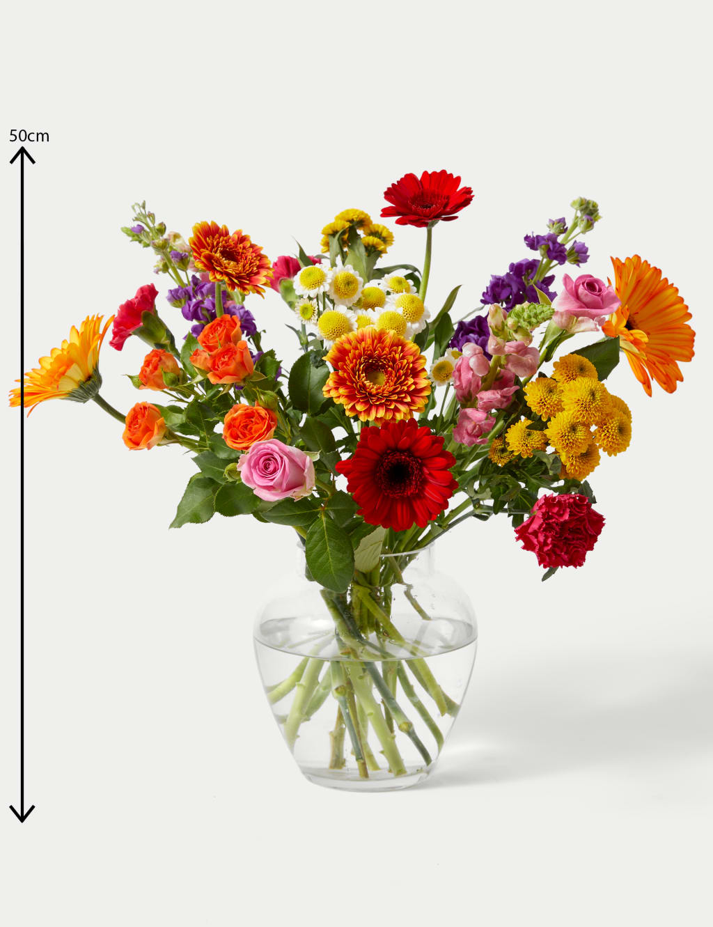 Gerbera, Carnation & Rose Bright Bouquet | M&S
