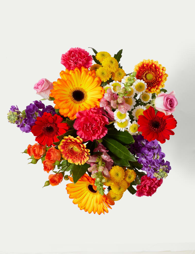 Gerbera, Carnation & Rose Bright Bouquet | M&S