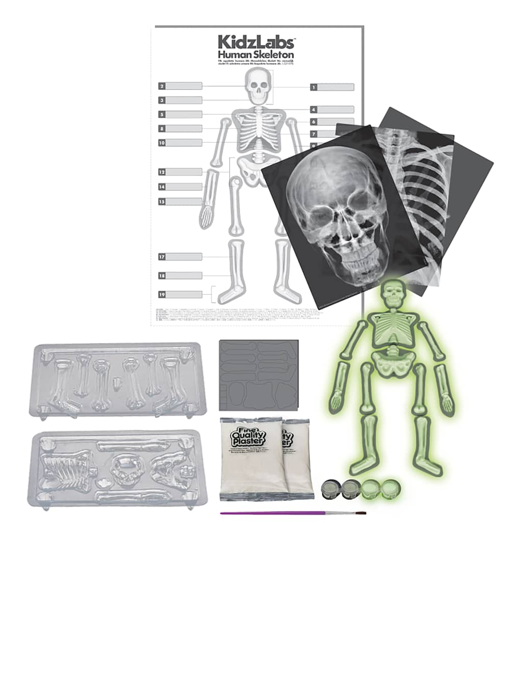 Glow Skeleton Kit | M&S