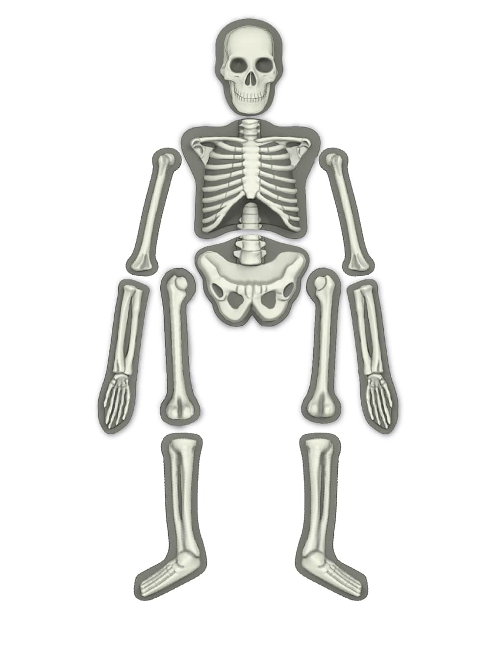 Glow Skeleton Kit | M&S