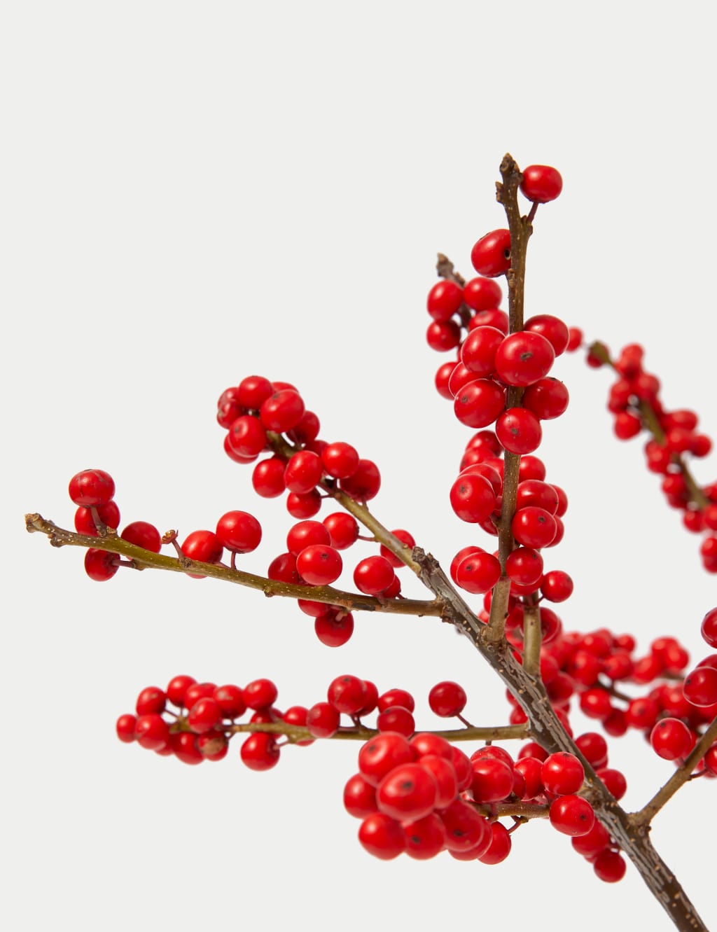 Ilex Berry Abundance Bouquet | M&S