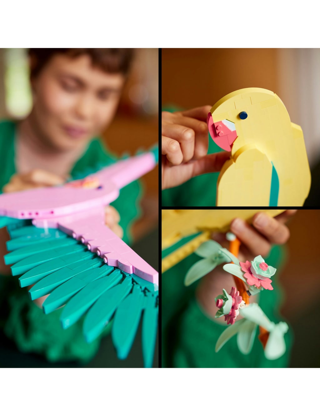 LEGO Art The Fauna Collection Macaw Parrots 31211 (18+ Yrs) | Lego | M&S