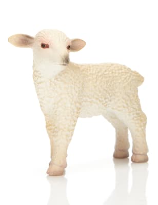 Lamb Toy | M&S
