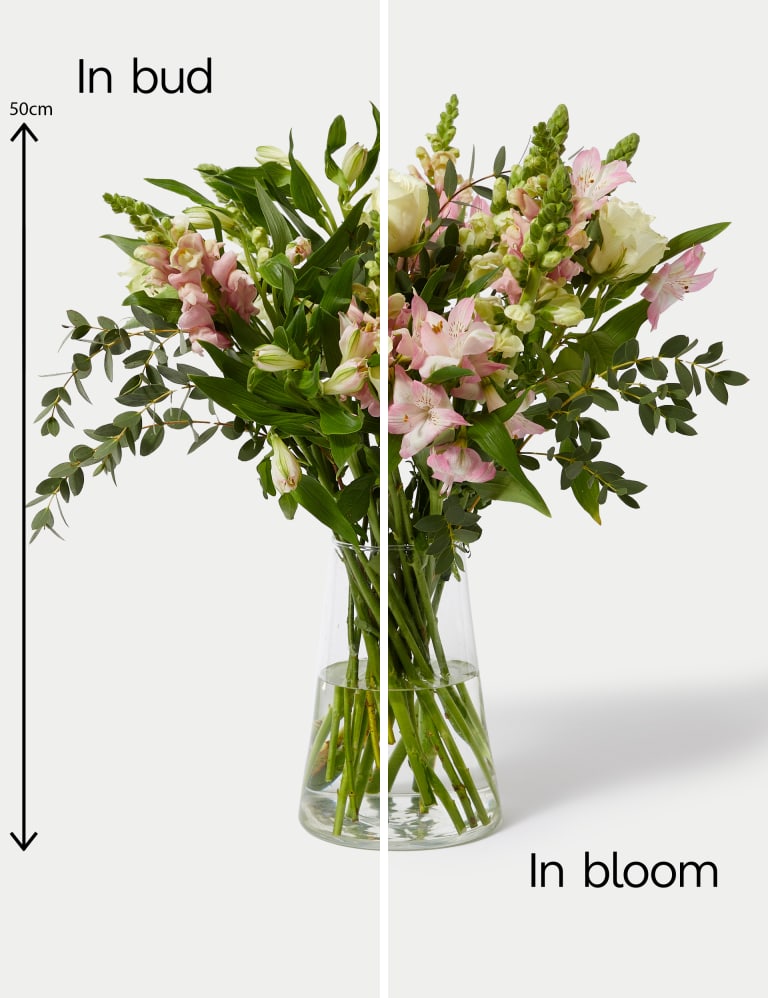 Lovely Mum Rose & Antirrhinum Bouquet With Rosé Prosecco | M&S