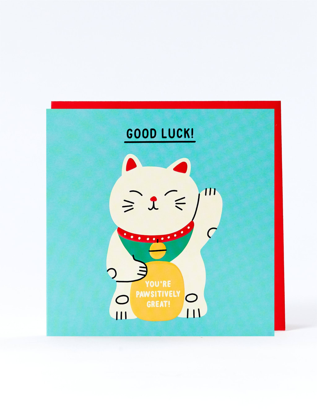Lucky Cat Good Luck Card | M&S