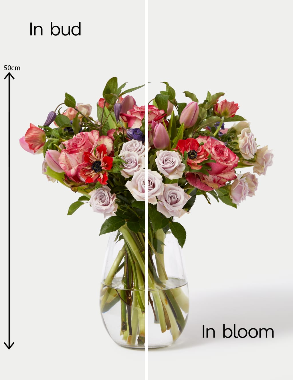 Magic Times® Rose Bouquet | M&S
