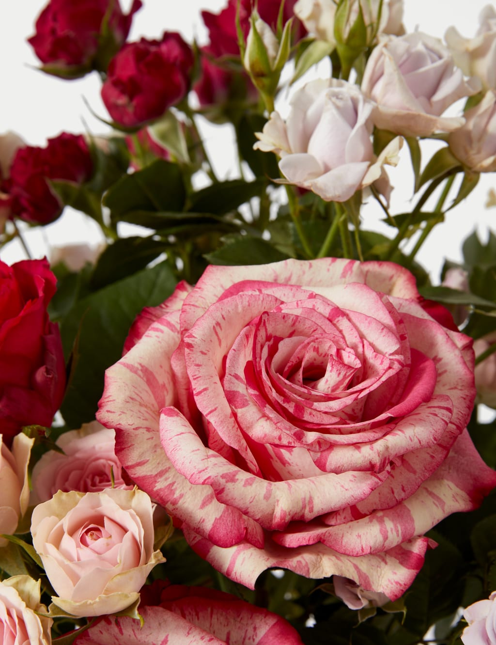 Mixed Rose Bouquet | M&S