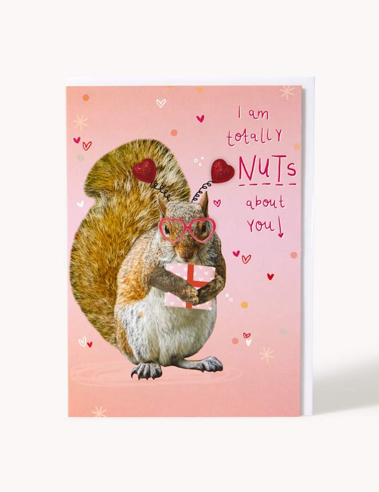 Nuts About You Squirrel Valentine's Card | M&S