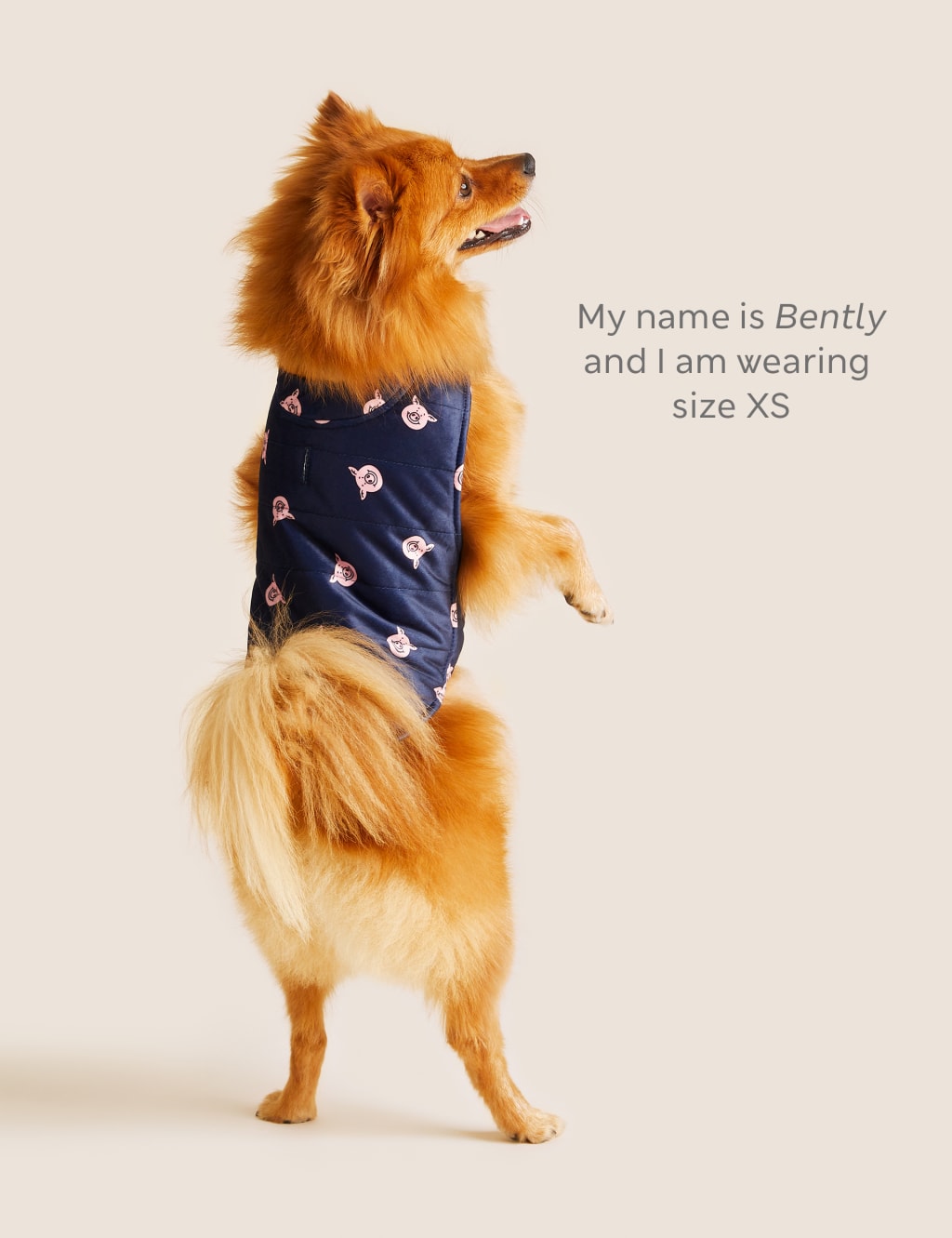 Christmas Jumpers | M&S