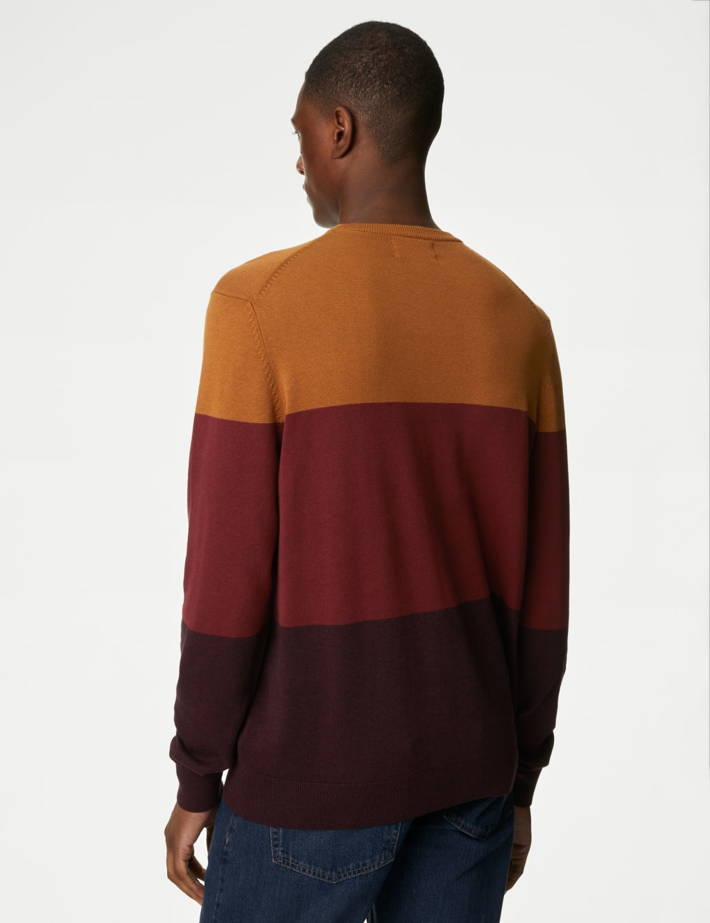 Pure Cotton Colour Block Crew Neck Jumper | M&S Collection | M&S