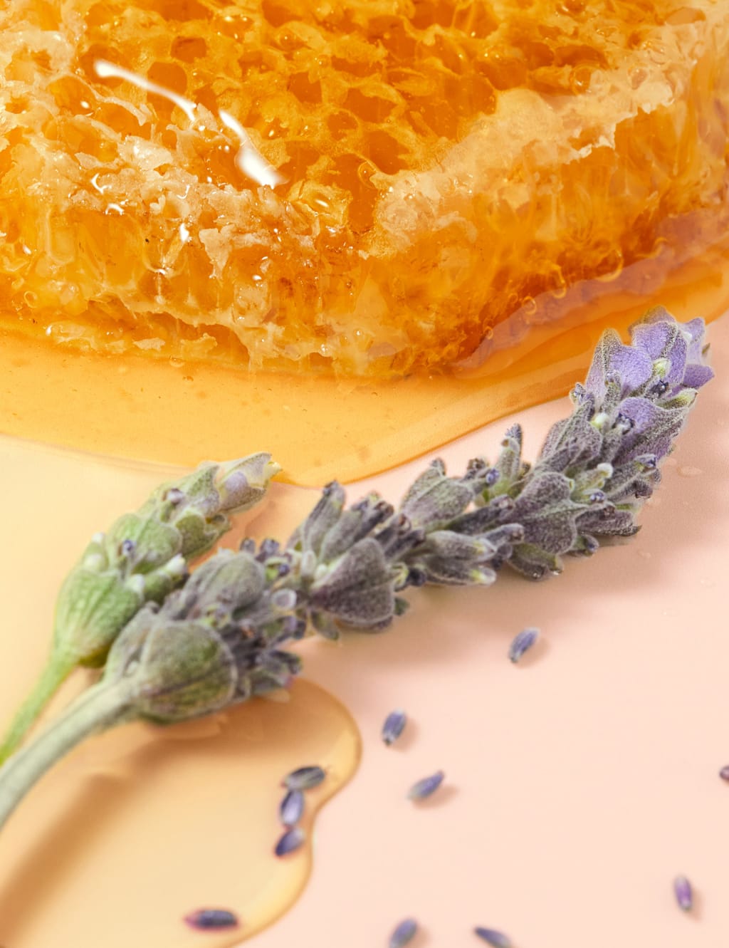 Rêve de Miel® Honey Lip Oil 10ml | NUXE | M&S