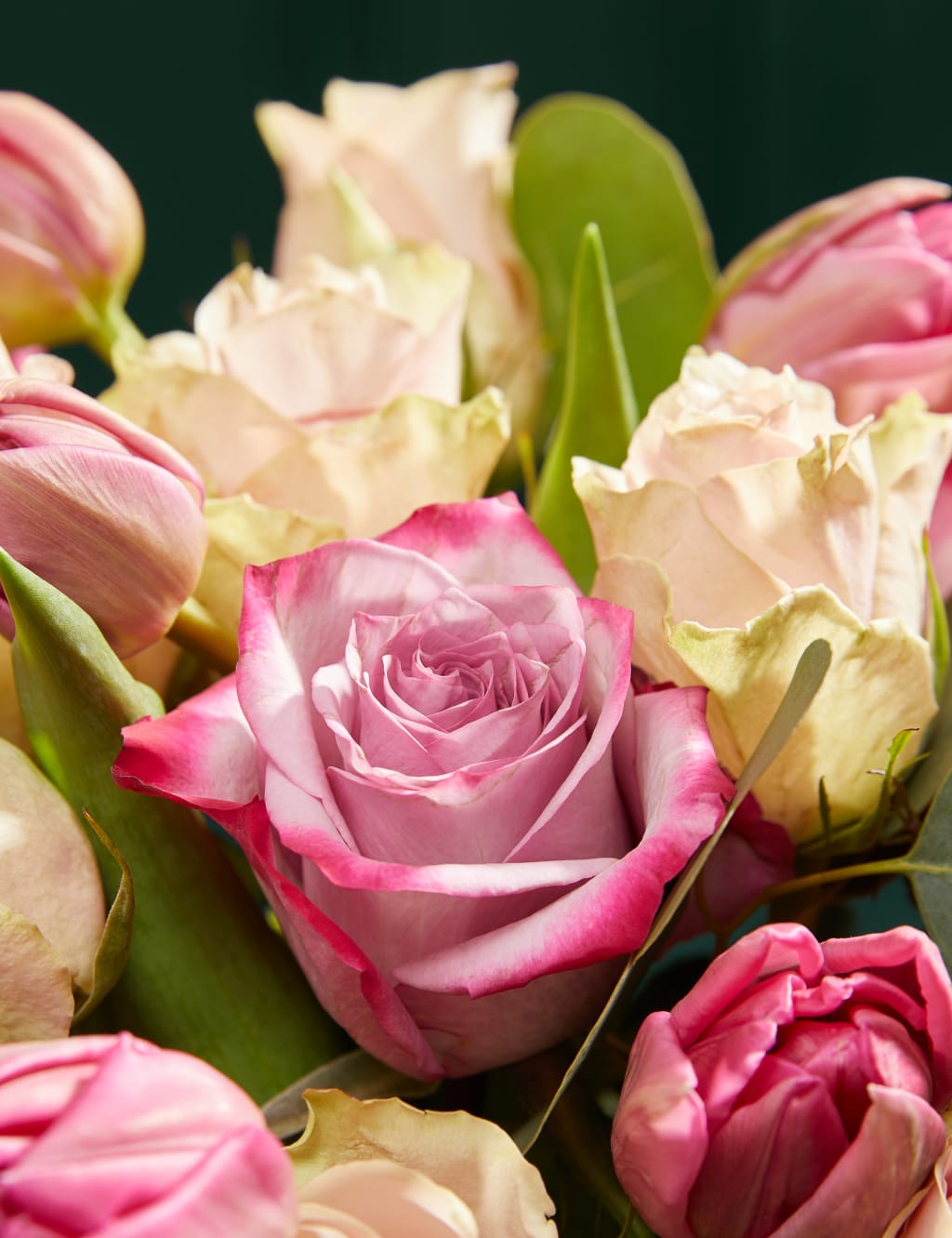 Rose, Germini & Stock | M&S