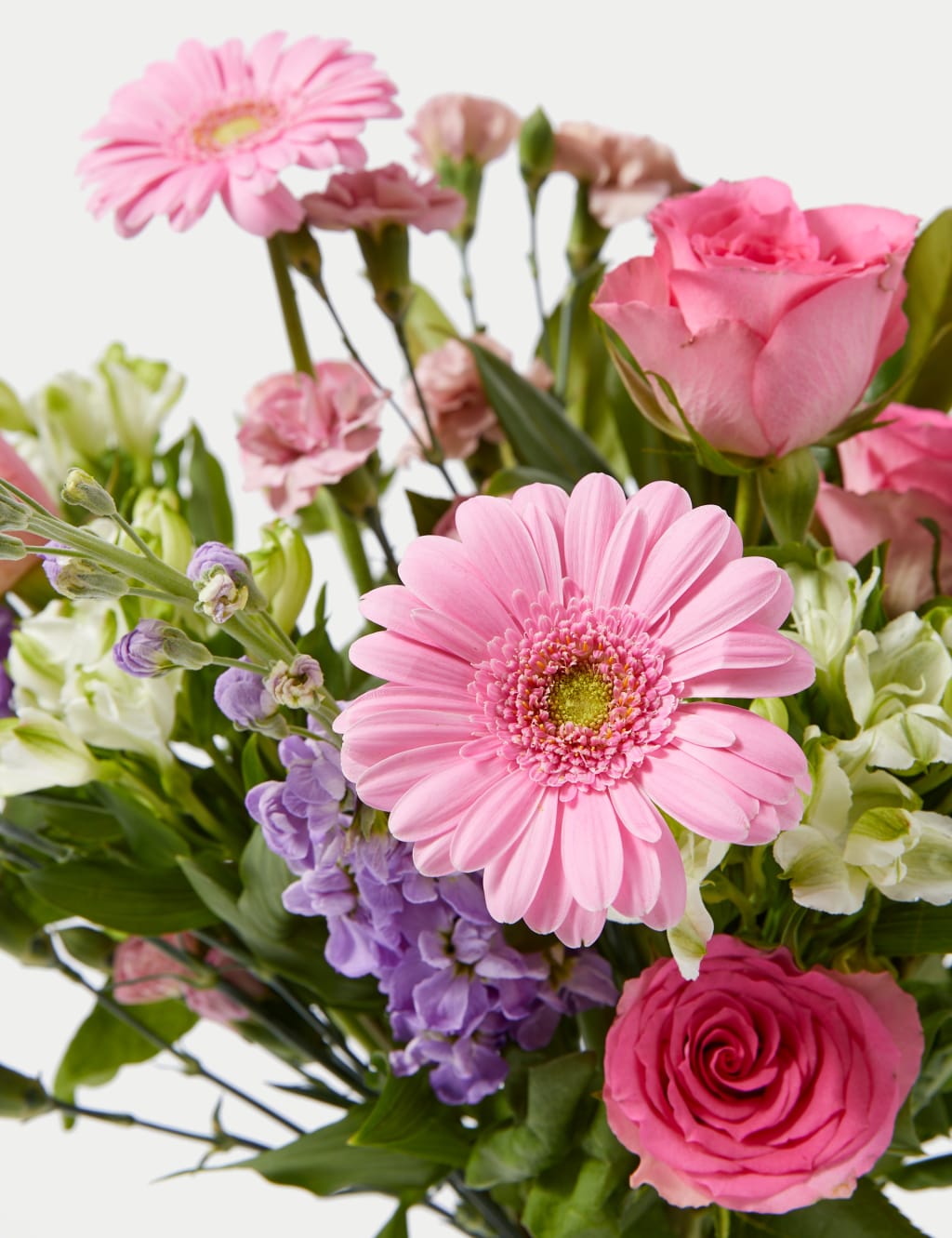 Rose, Germini & Stock | M&S