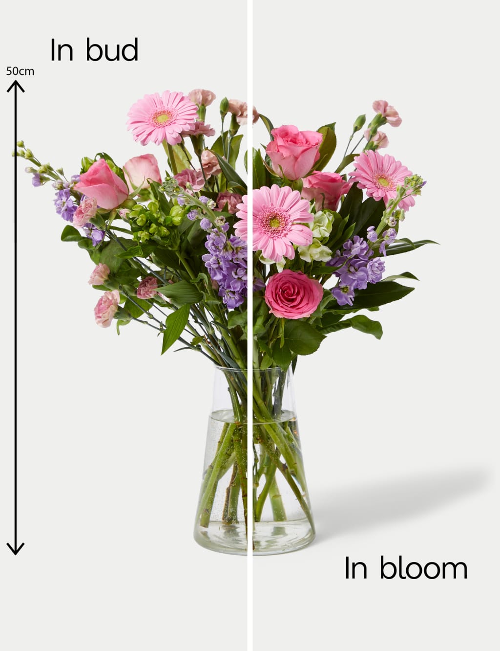 Rose, Germini & Stock | M&S