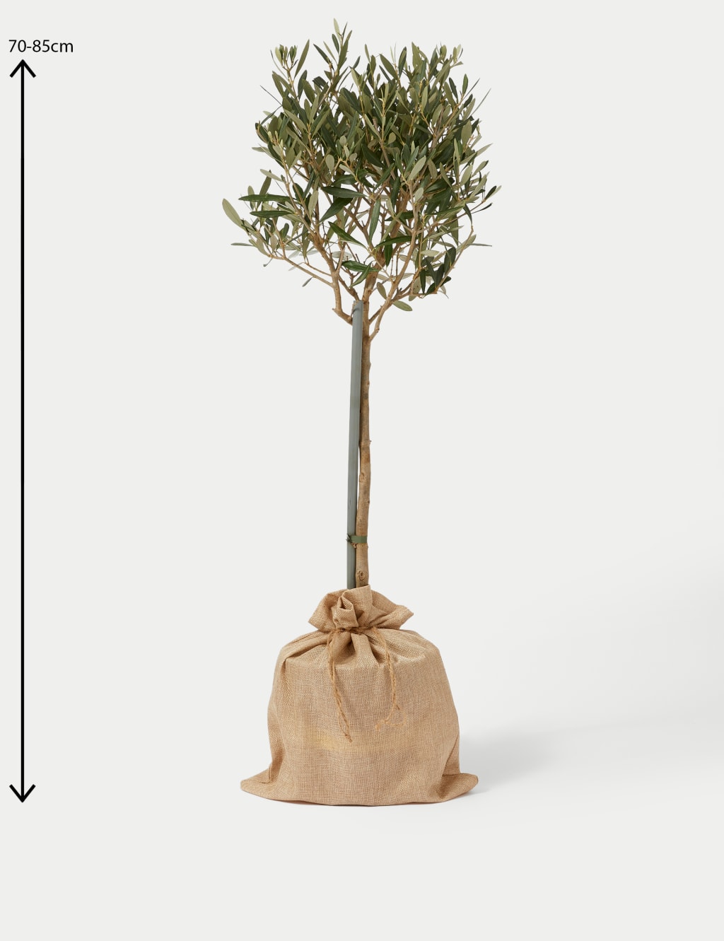 Garden Accessories | M&S