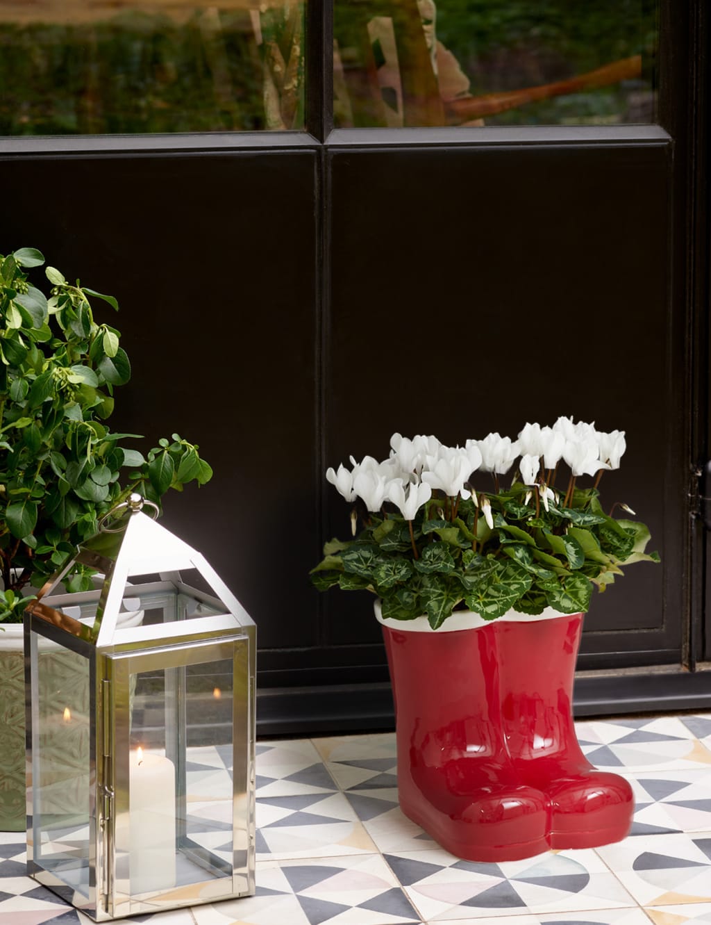 Santa Boots Flowering Cyclamen Planter | M&S