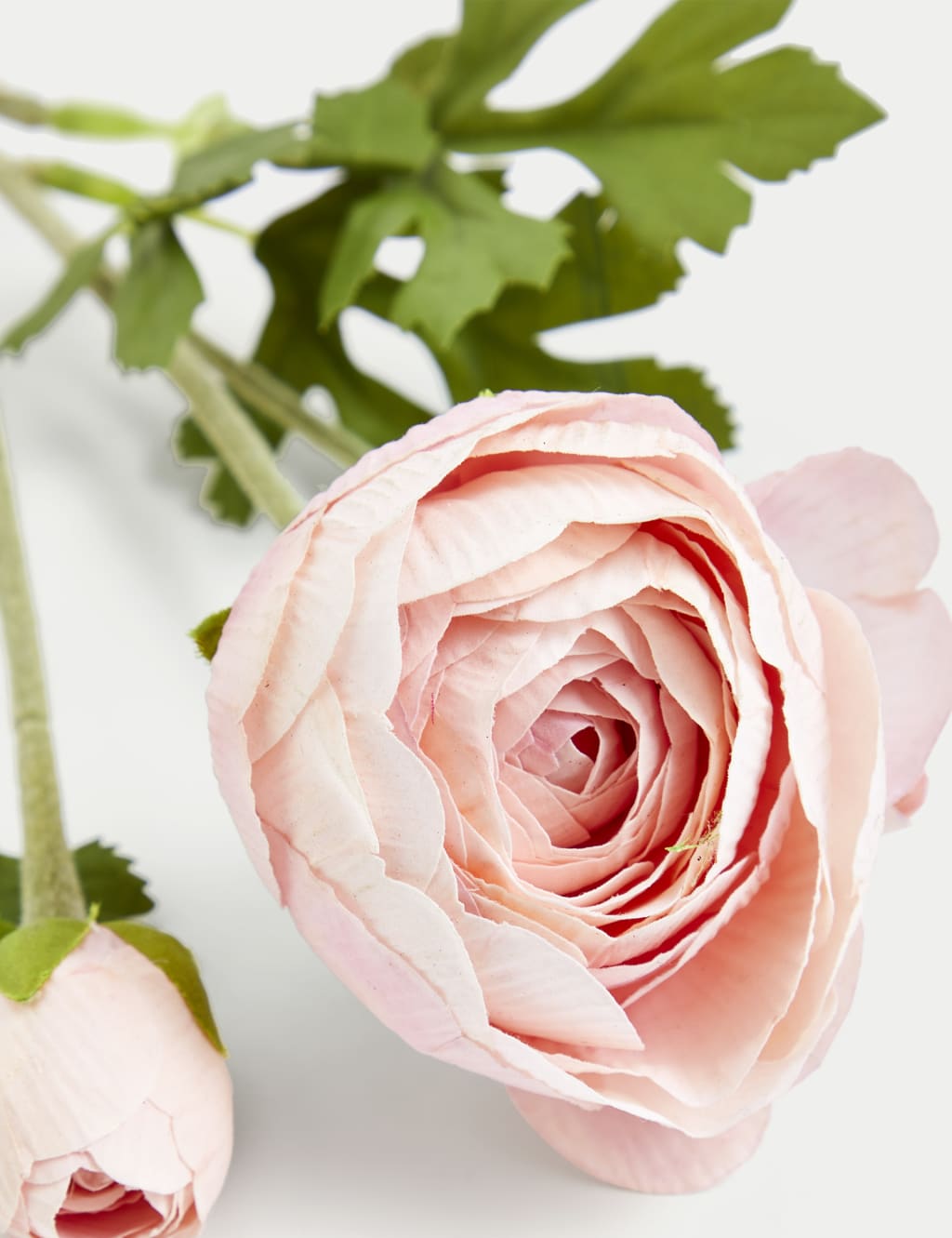Set of 2 Artificial Ranunculus Real Touch Stems | Moss & Sweetpea | M&S