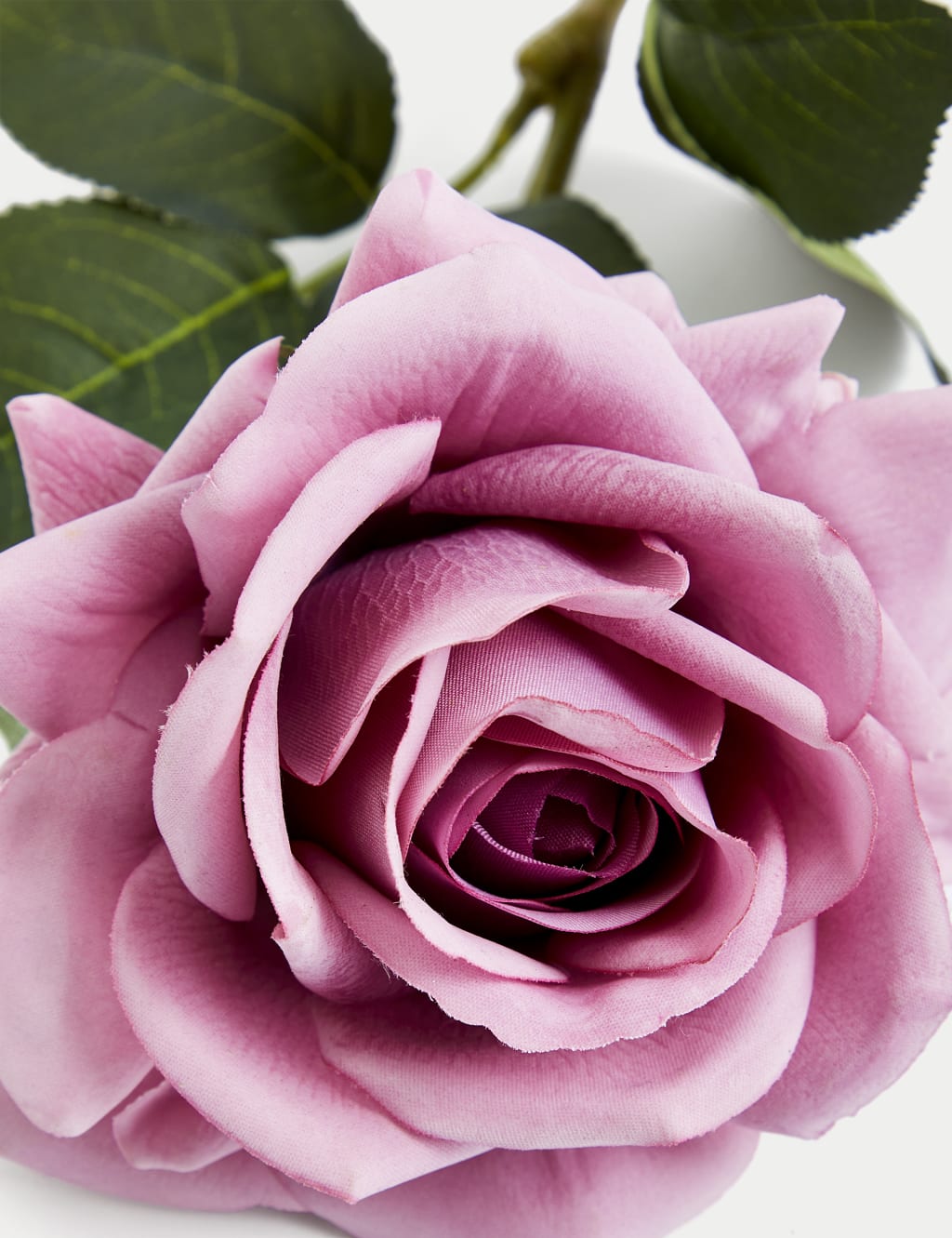 Set of 2 Artificial Real Touch Rose Stems | Moss & Sweetpea | M&S