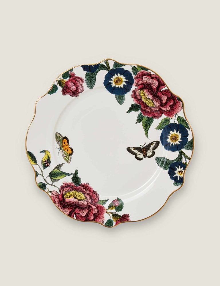 Set of 4 Creatures of Curiosity Dinner Plates | Spode | M&S