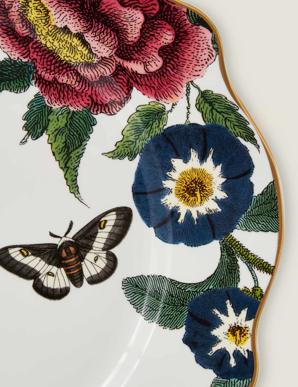 Set of 4 Creatures of Curiosity Dinner Plates | Spode | M&S